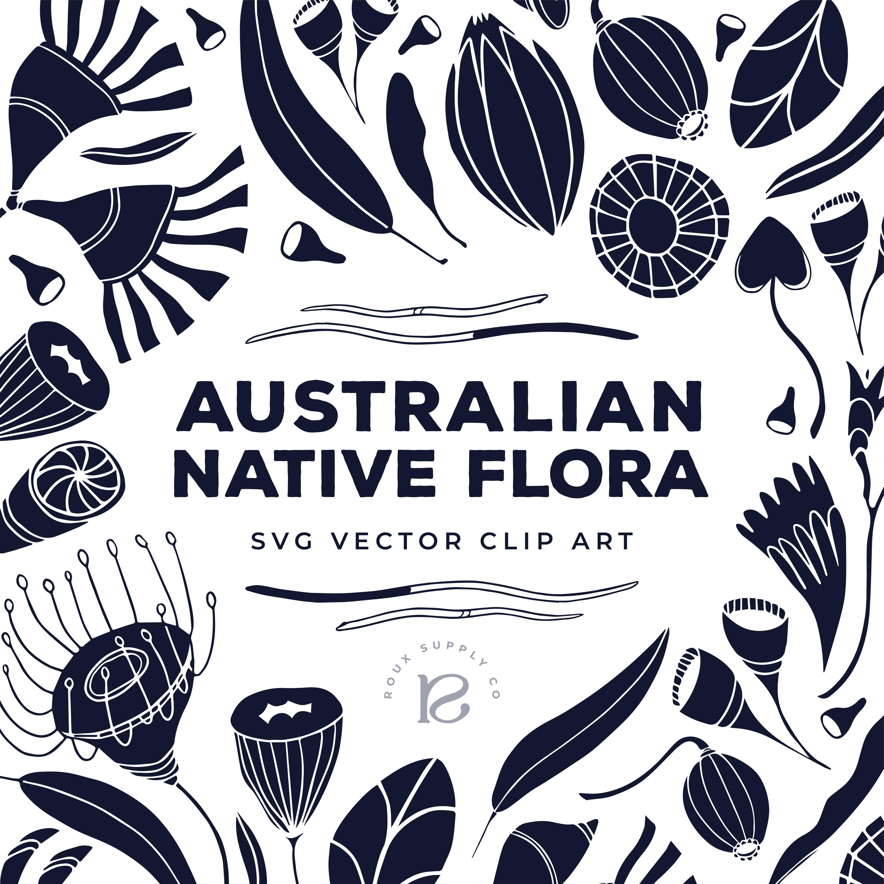 Australian Flora, Botanical, Eucalyptus, SVG Clipart, Illustration ...