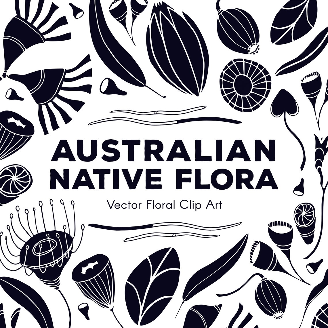 Australian Flora Botanical Vector Clip Art Illustrations Set - Etsy