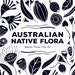 Australian Flora Botanical Vector Clip Art Illustrations Set - Etsy