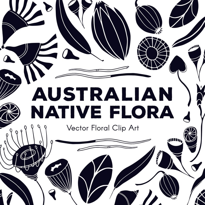 Australian Flora Botanical Vector Clip Art Illustrations Set - Etsy