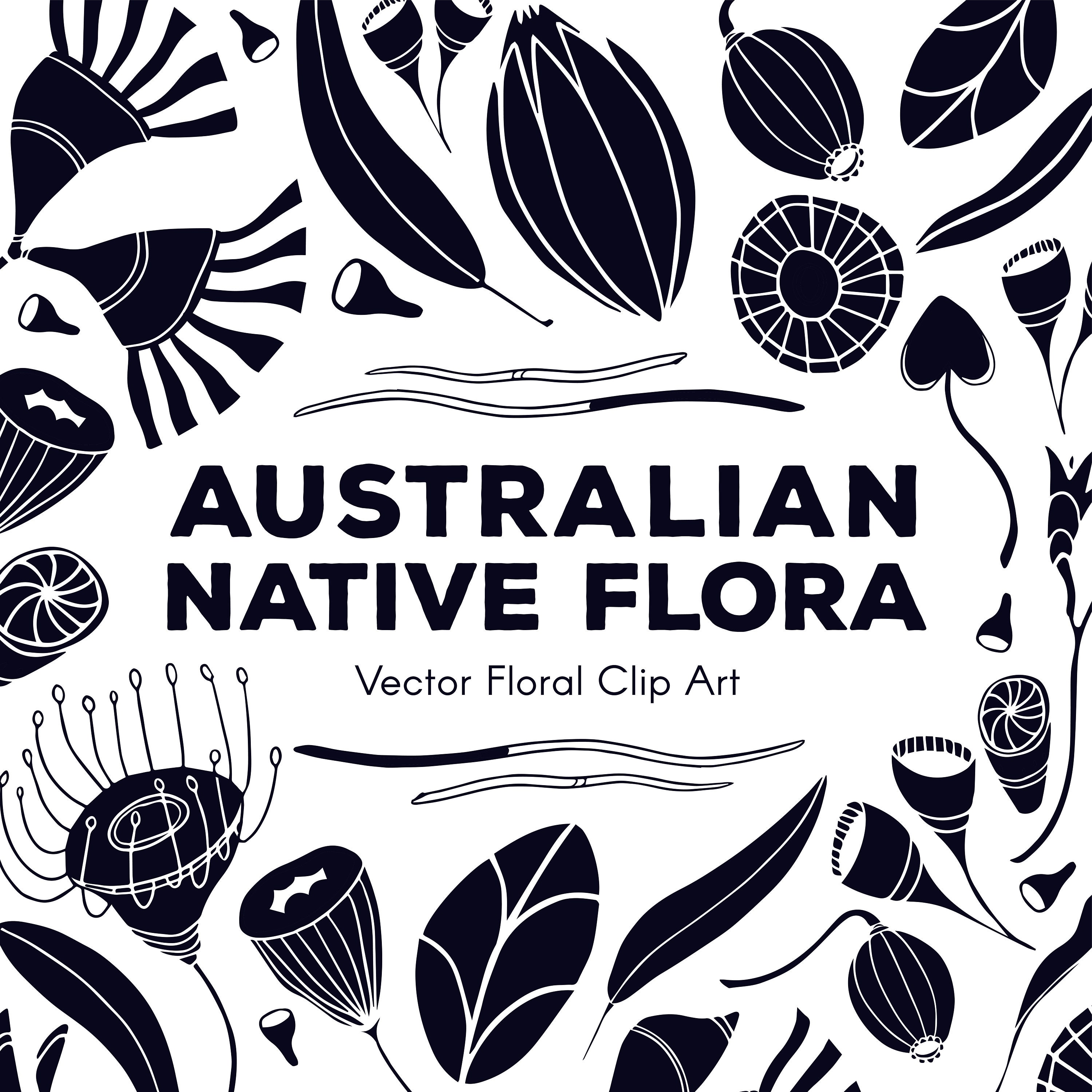 Australian Flora Botanical Vector Clip Art Illustrations Set - Etsy