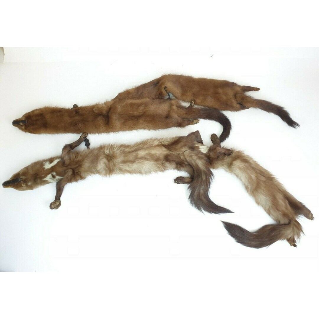 2 Antique Brown Mink Full Pelt Real Fur Shawl Scarf Collar Wrap ...