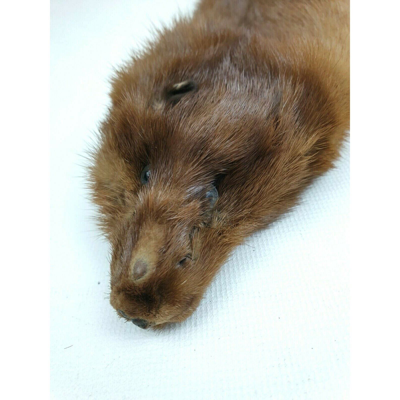 2 Antique Brown Mink Full Pelt Real Fur Shawl Scarf Collar - Etsy