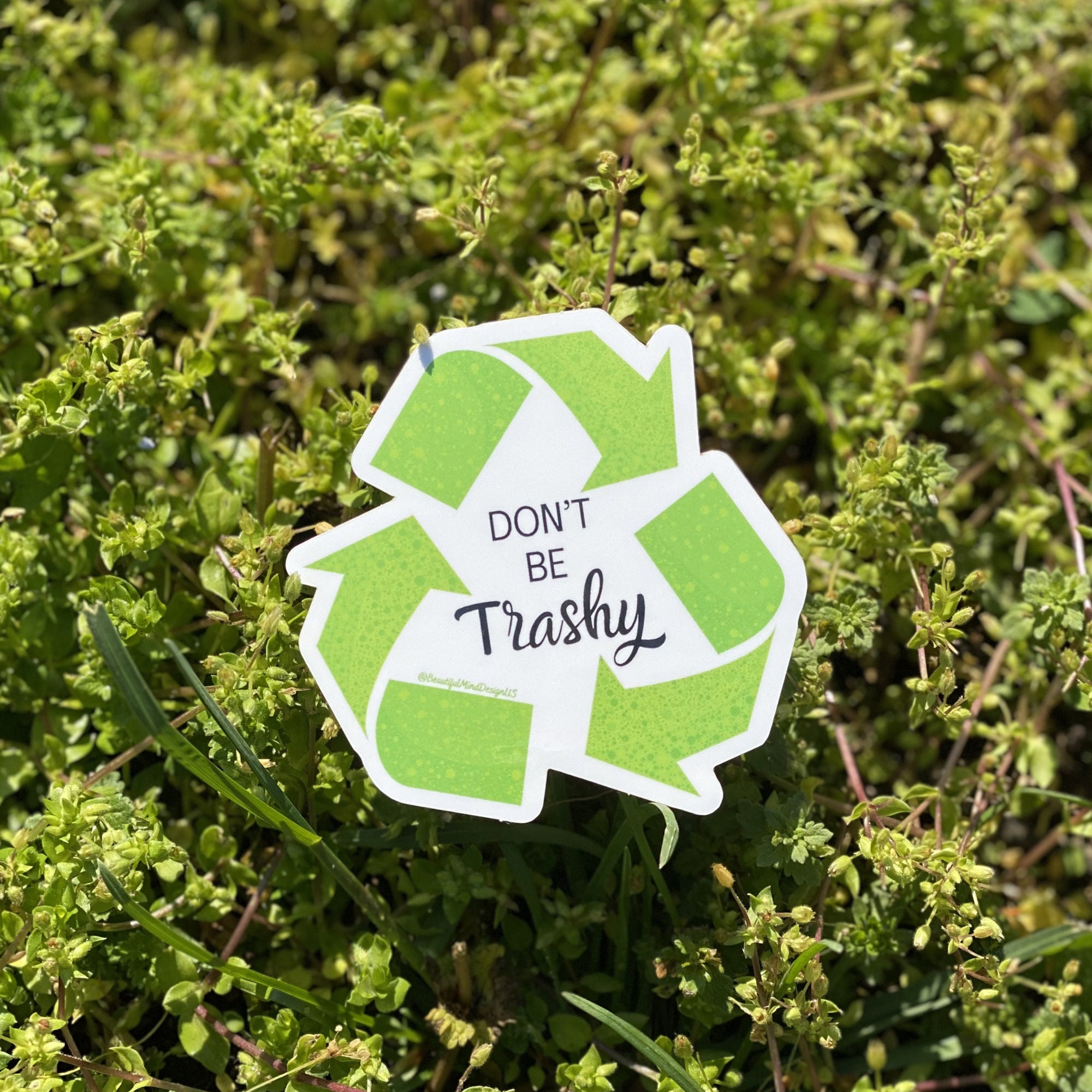 Don’t Be Trashy Sticker - Etsy