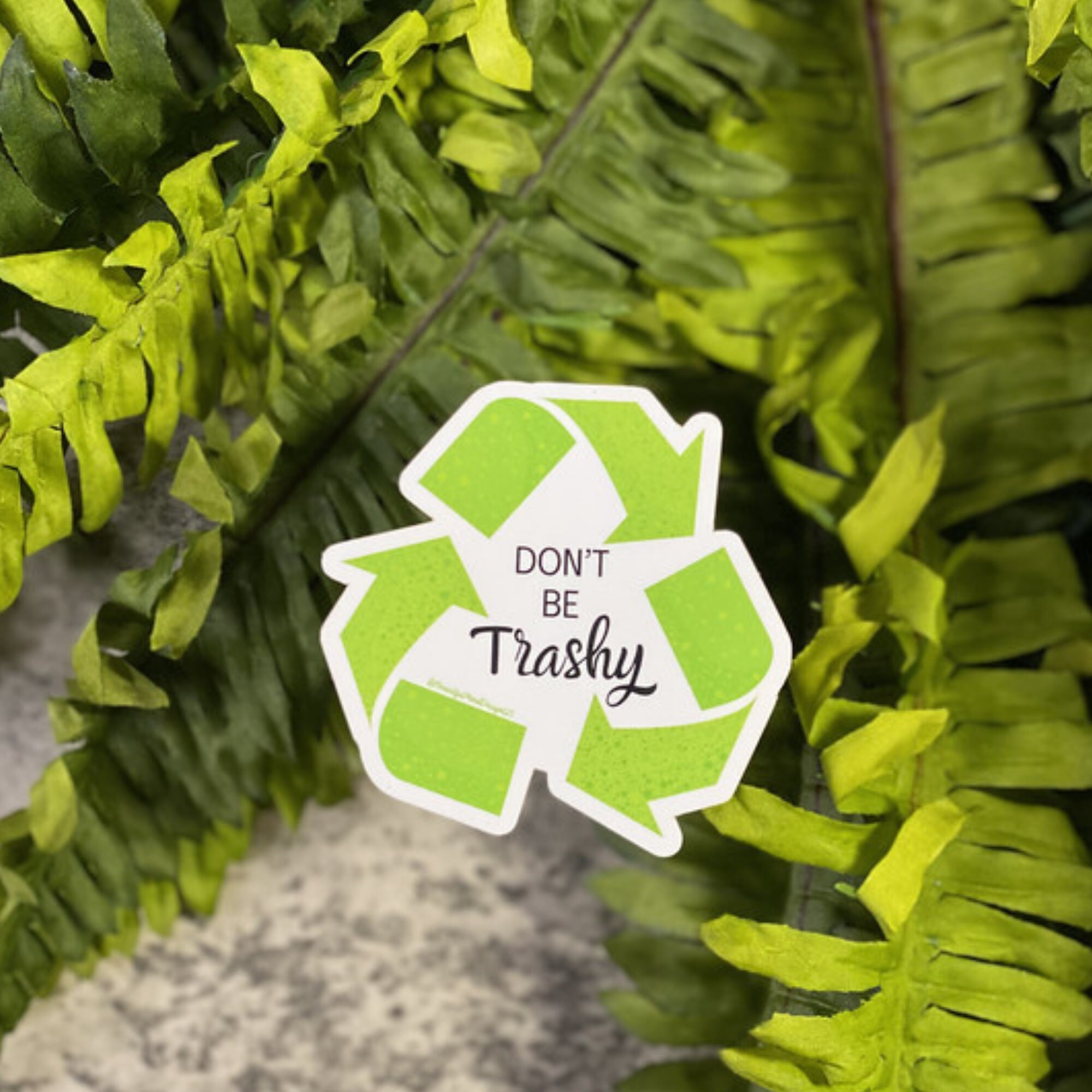 Dont Be Trashy Sticker - Etsy
