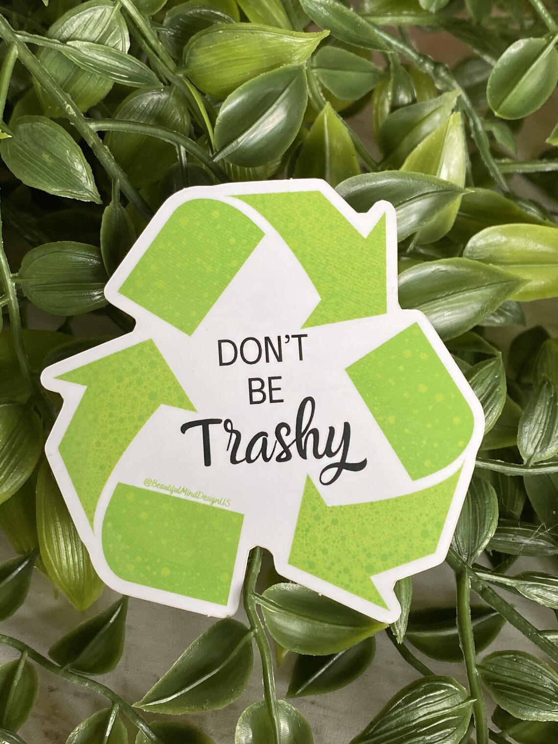 Dont Be Trashy Sticker - Etsy