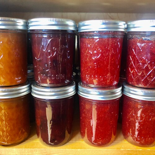 Homemade Jam Sampler Set of Three Mini Jams or Marmalades - Etsy