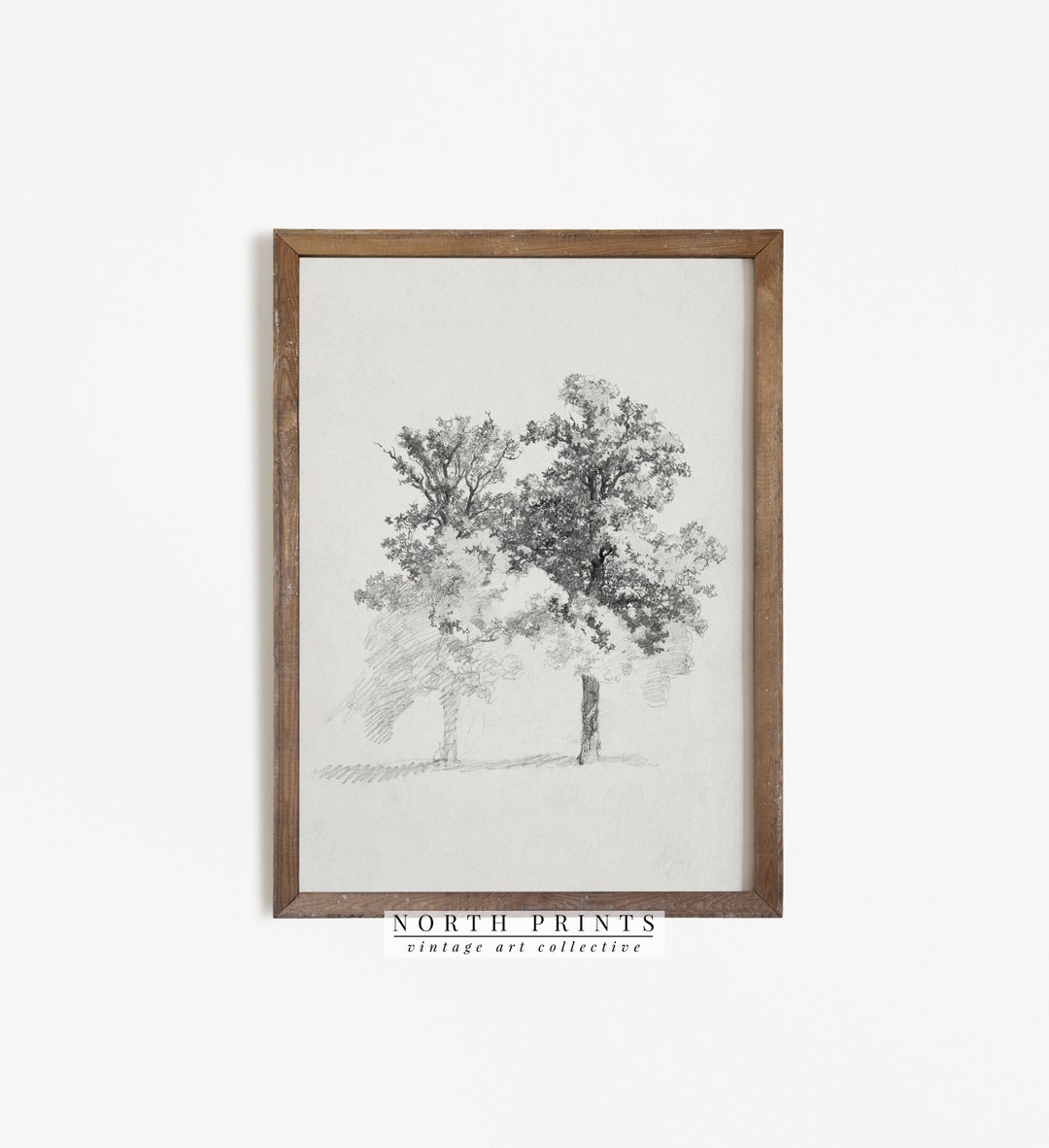 Tree Drawing Print Simple Neutral Vintage Botanical Sketch Art Woodland ...