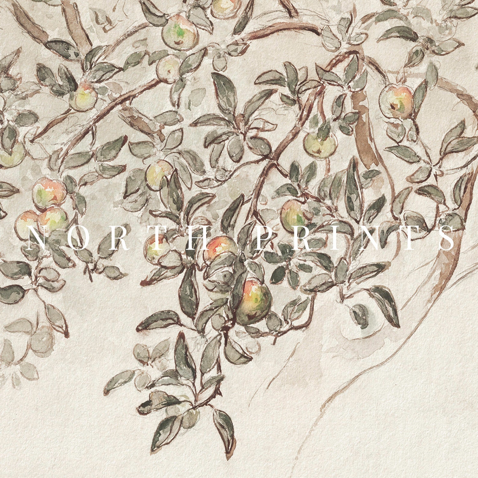 Vintage Apple Tree Print Neutral Farmhouse Wall Art - Etsy