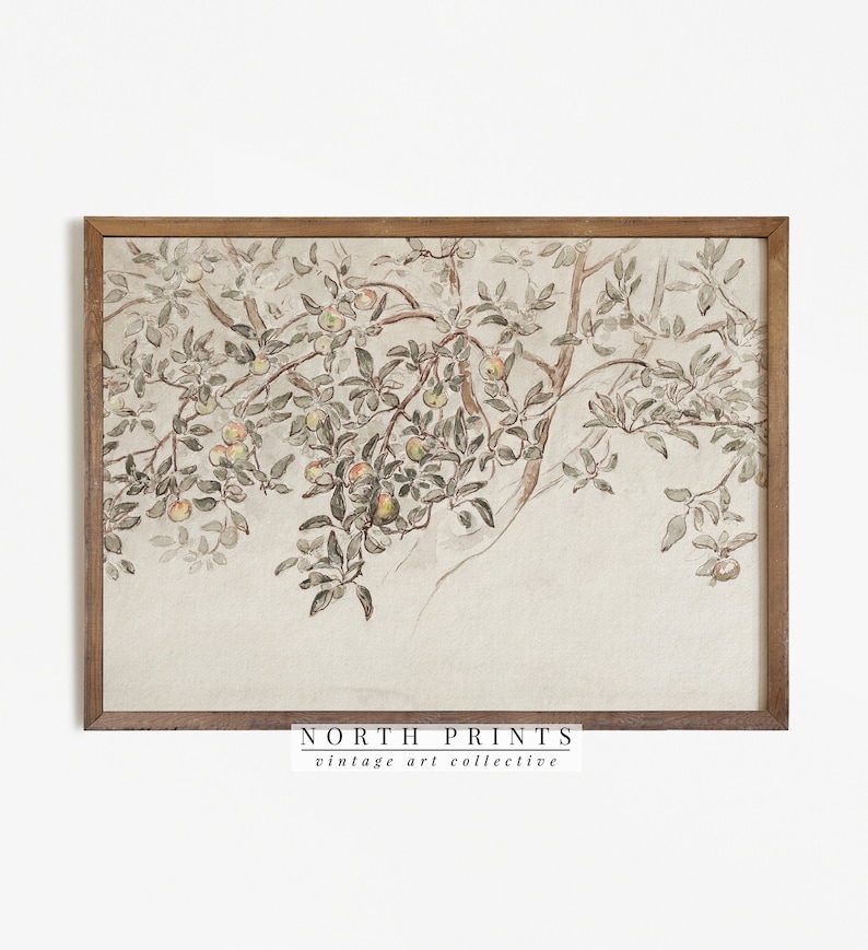 Vintage Apple Tree Sketch Art Print: Neutral Farmhouse Decor, Rustic ...