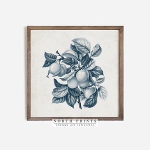 SQUARE Botanical Gallery Wall Print SET of Six | Dark Blue Farmhouse ...