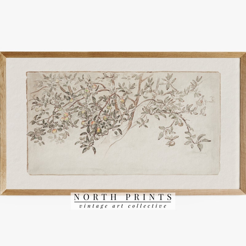 Vintage Sketch Apple Tree - Etsy