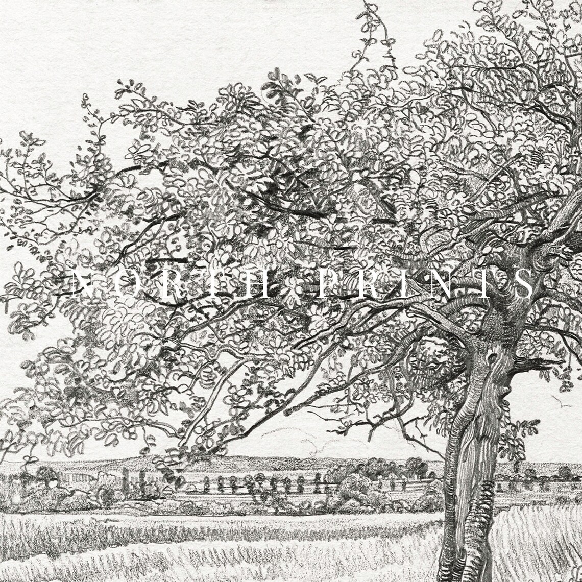 Apple Tree Sketch Vintage Farmhouse Kitchen Decor PRINTABLE - Etsy