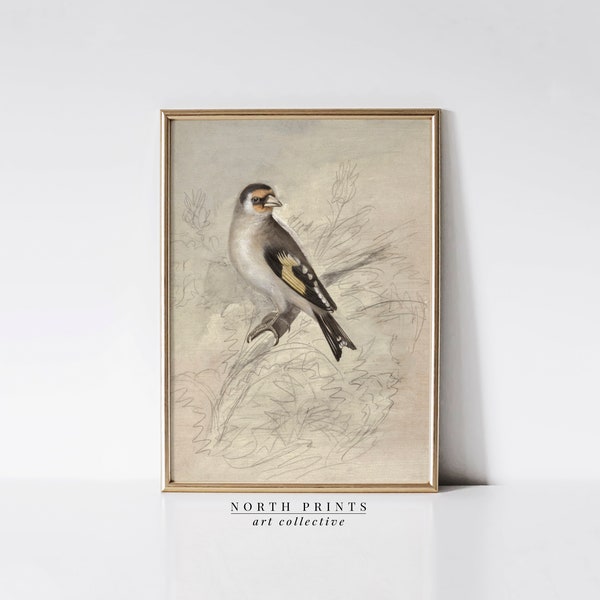 Bird Wall Art Printable - Etsy