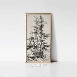 North Prints Vintage Rustic Tree Gallery Wall Sketches Rustic Etching ...