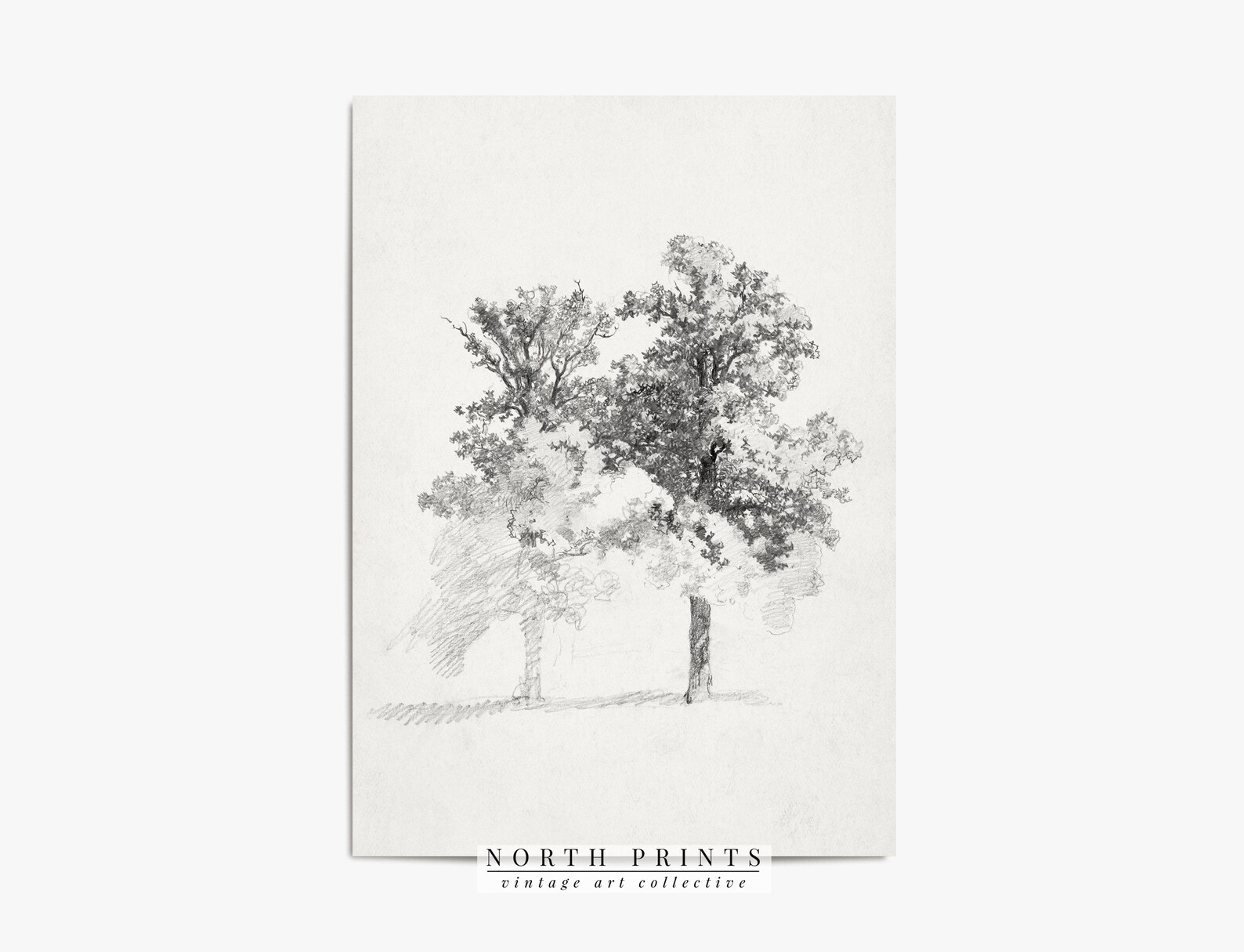 Tree Drawing Print Simple Neutral Vintage Botanical Sketch - Etsy