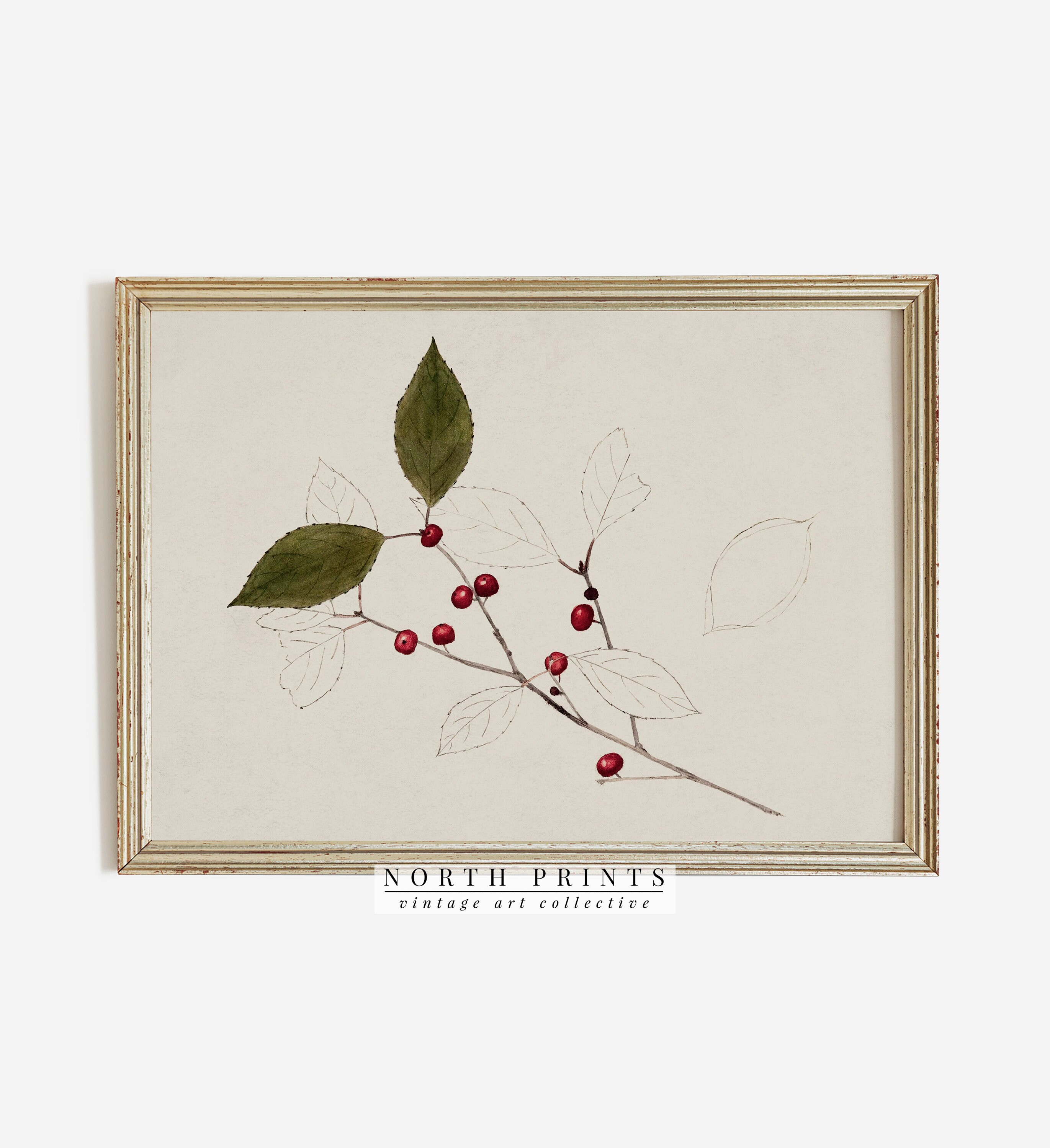 Vintage Botanical Print Simple Holiday PRINTABLE Christmas - Etsy