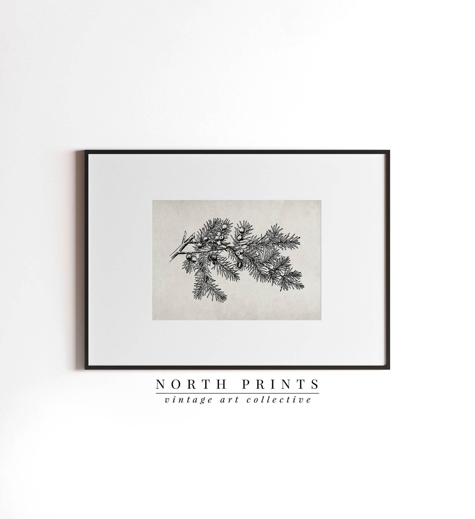 Minimalist Winter Branch Sketch PRINTABLE Art | Neutral Christmas ...