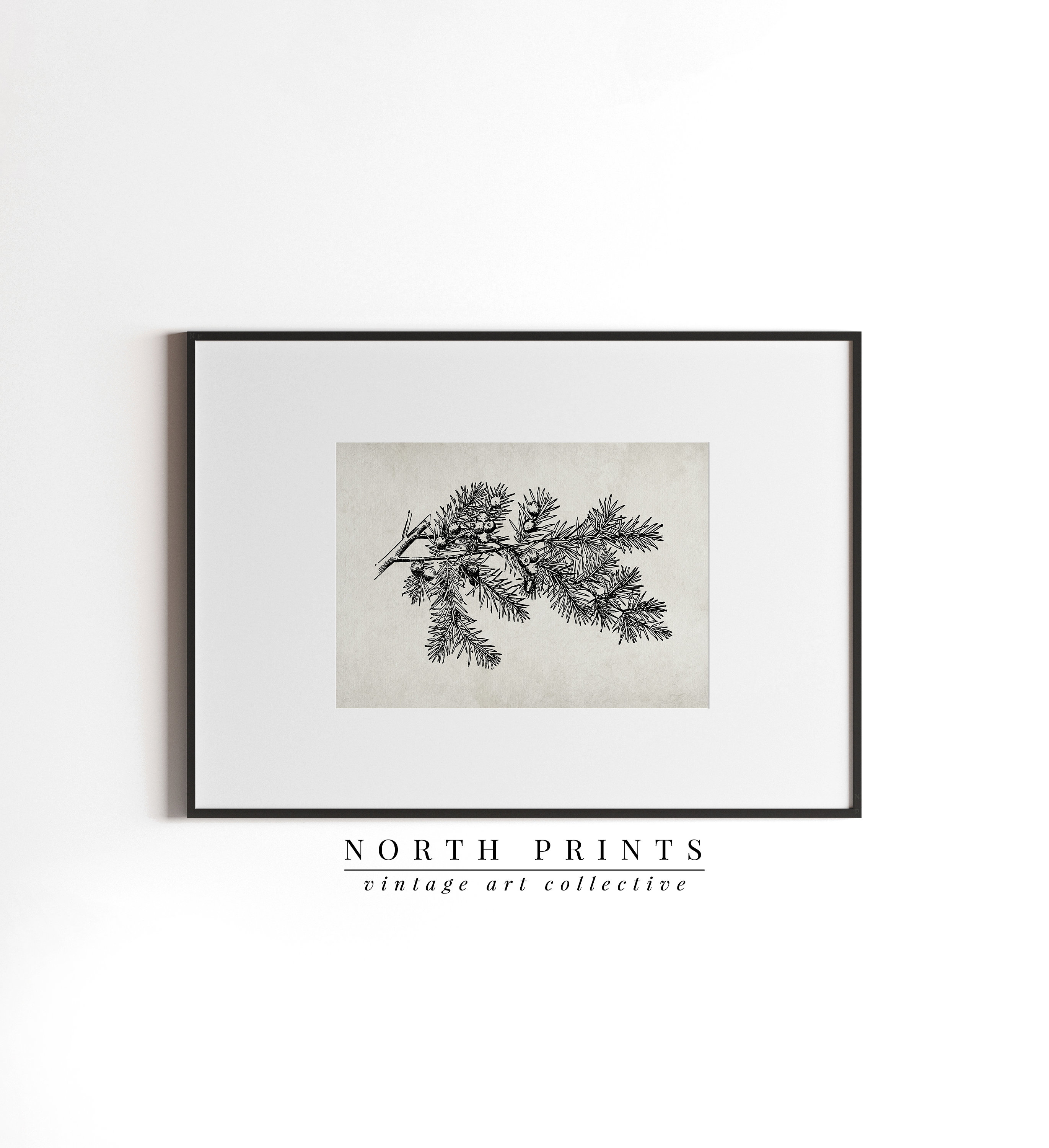 Minimalist Winter Branch Sketch PRINTABLE Art | Neutral Christmas ...