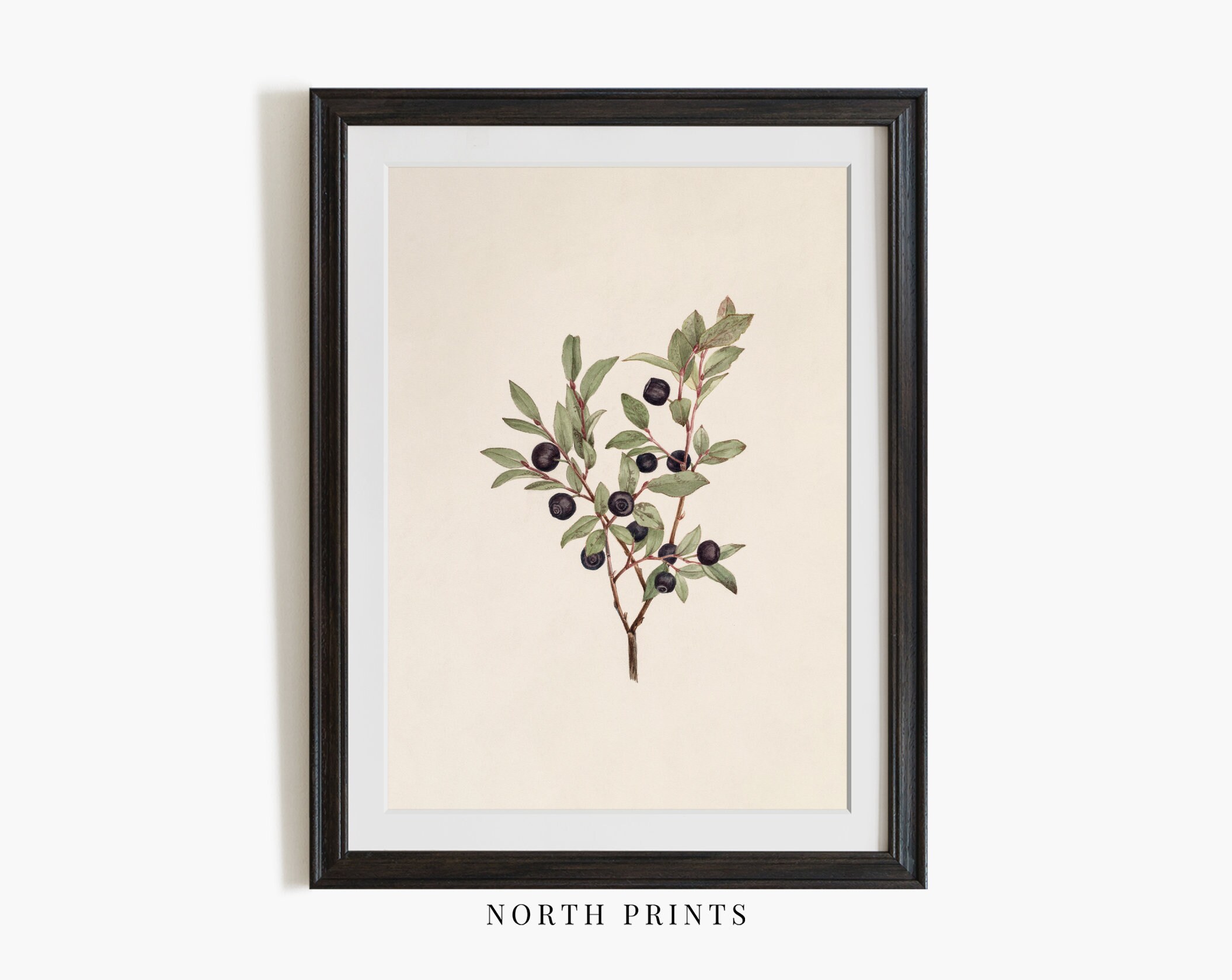 Vintage Botanical Print Antique Berry Country Farmhouse | Etsy