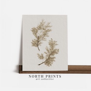 Autumn Botanical Art Print, Minimalist Fall Trees Wall Art PRINTABLE ...