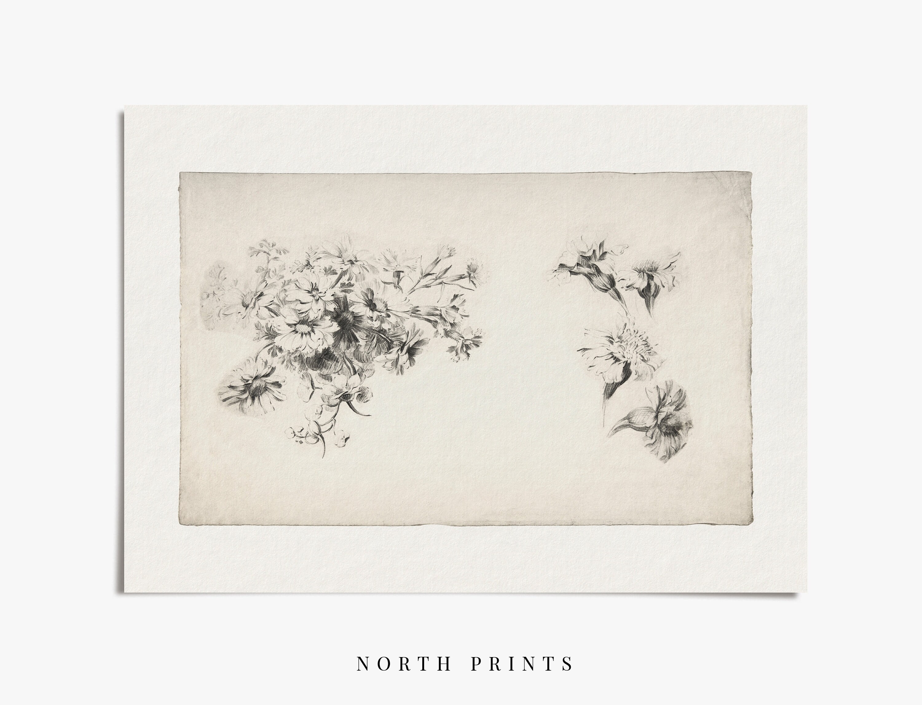 Vintage Flower Sketch Neutral Flower Drawing Print Digital | Etsy
