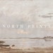 Vintage Muted Beach Landscape Art Painting PRINTABLE Above - Etsy