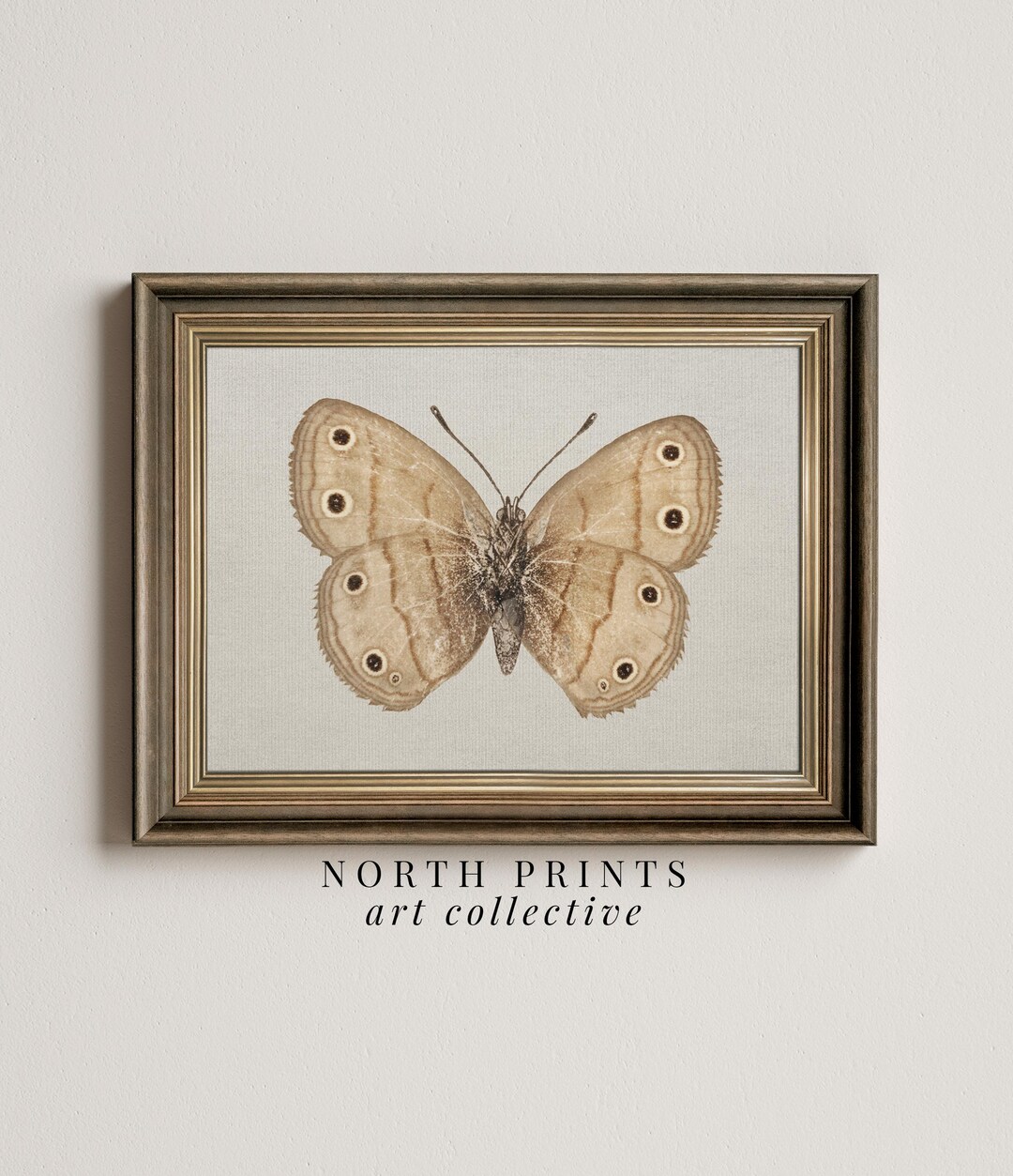 Vintage Butterfly Art Print: Cottagecore Neutral Decor (digital ...