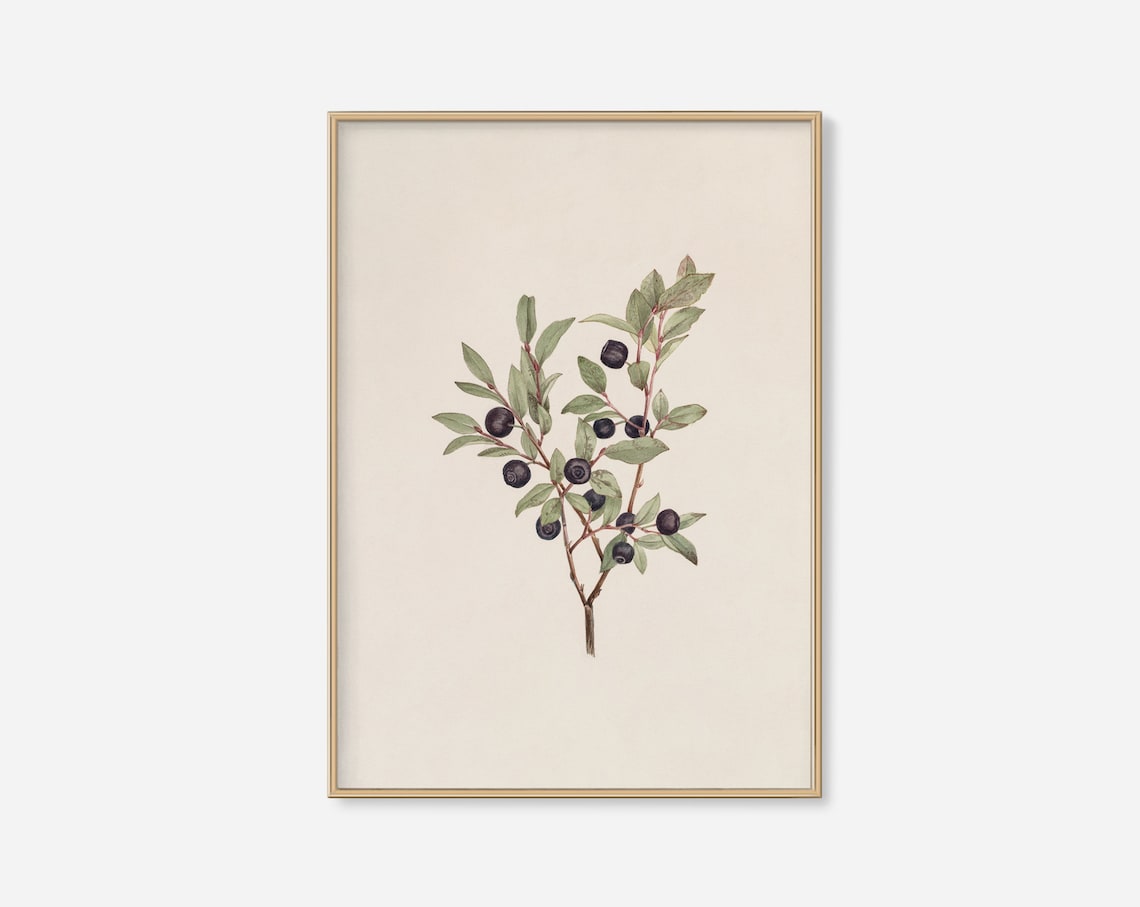 Vintage Botanical Print Antique Berry Country Farmhouse - Etsy