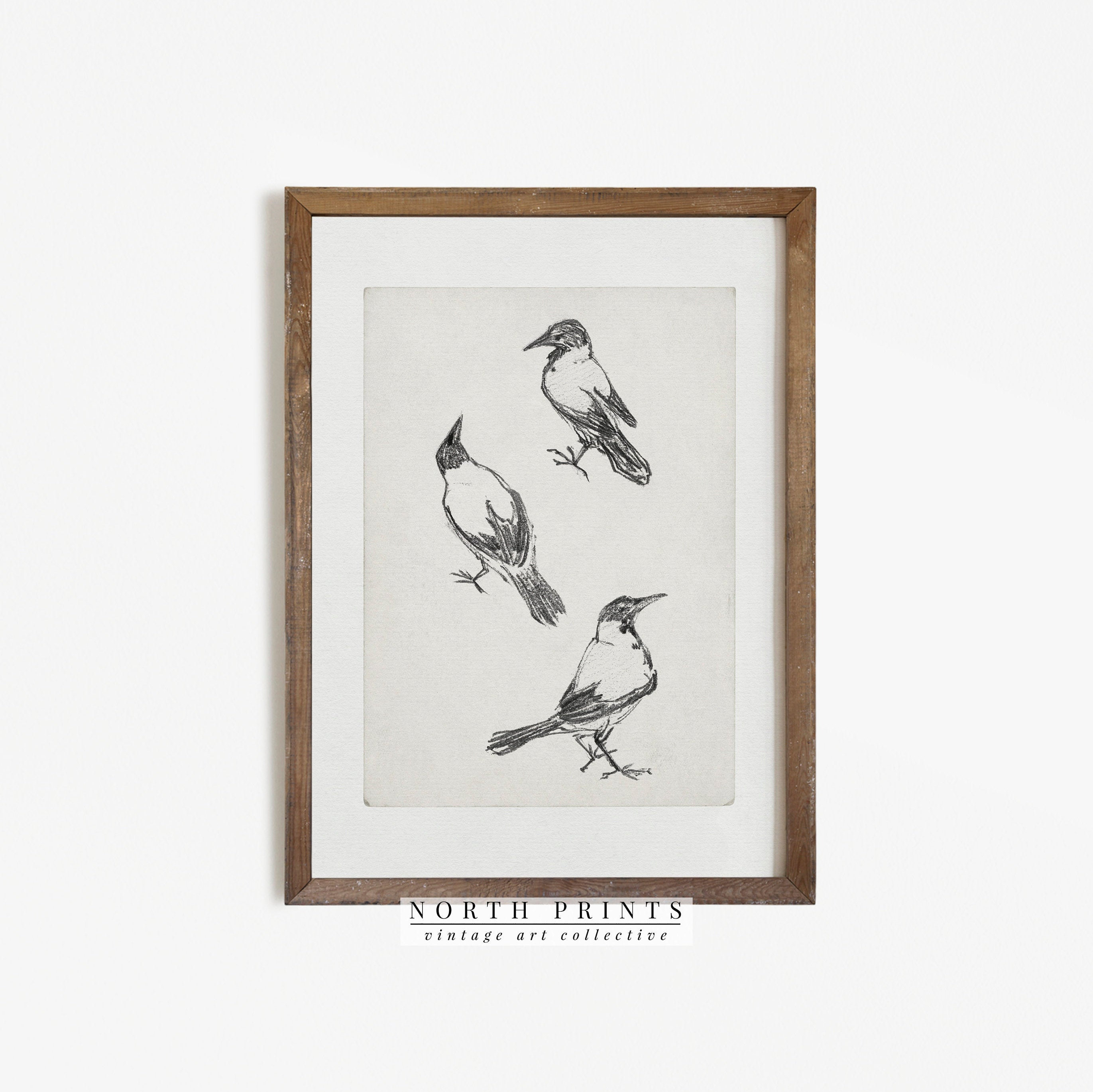 Bird Sketch Vintage Bird Etching Minimalist Drawing Art - Etsy