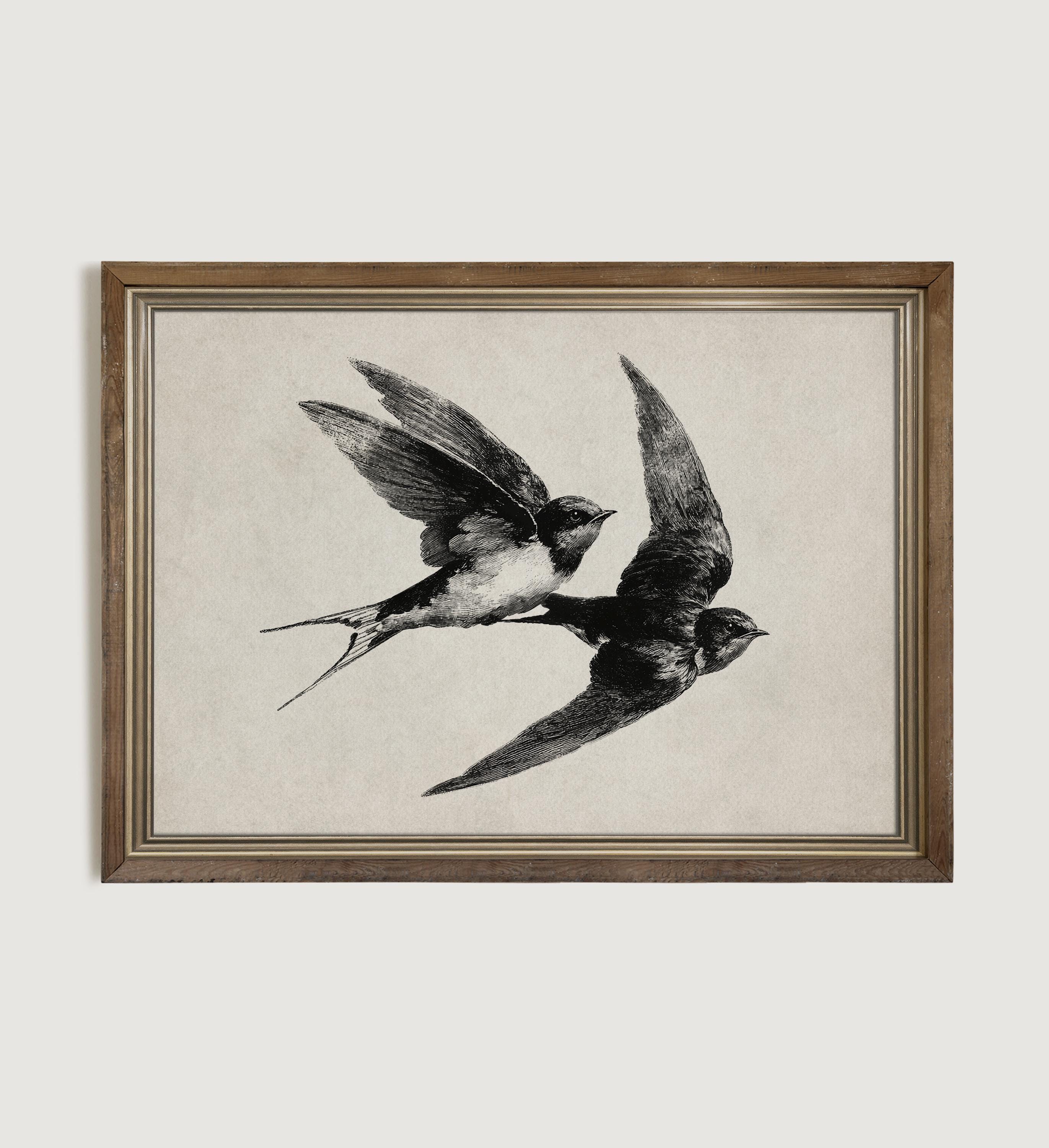 Vintage Swallow Art Print, Antique Bird Illustration, French Country ...