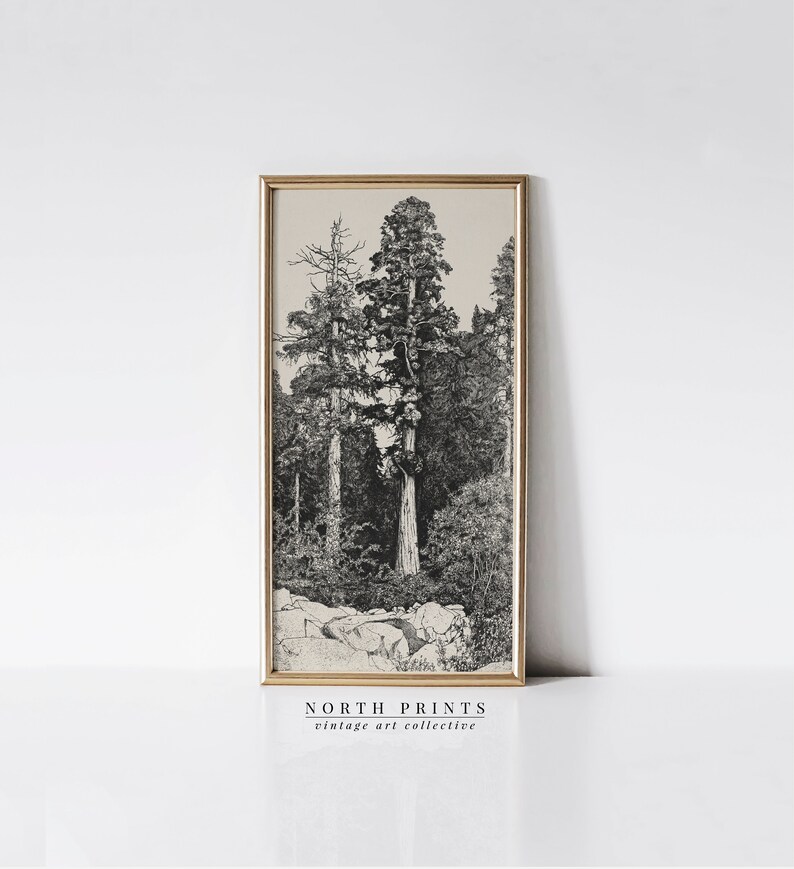 North Prints Vintage Rustic Tree Gallery Wall Sketches - Etsy