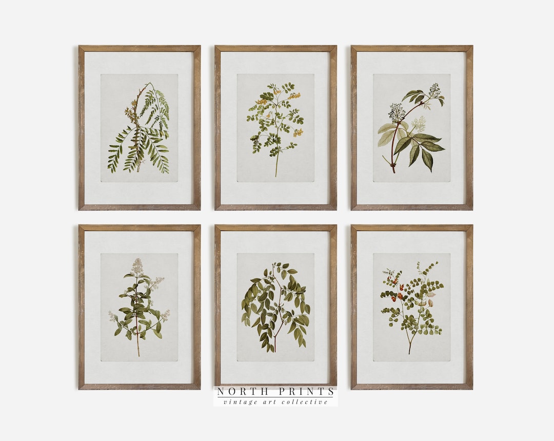 Vintage Botanical Print Set: Rustic Gallery Wall Art (printable Digital ...