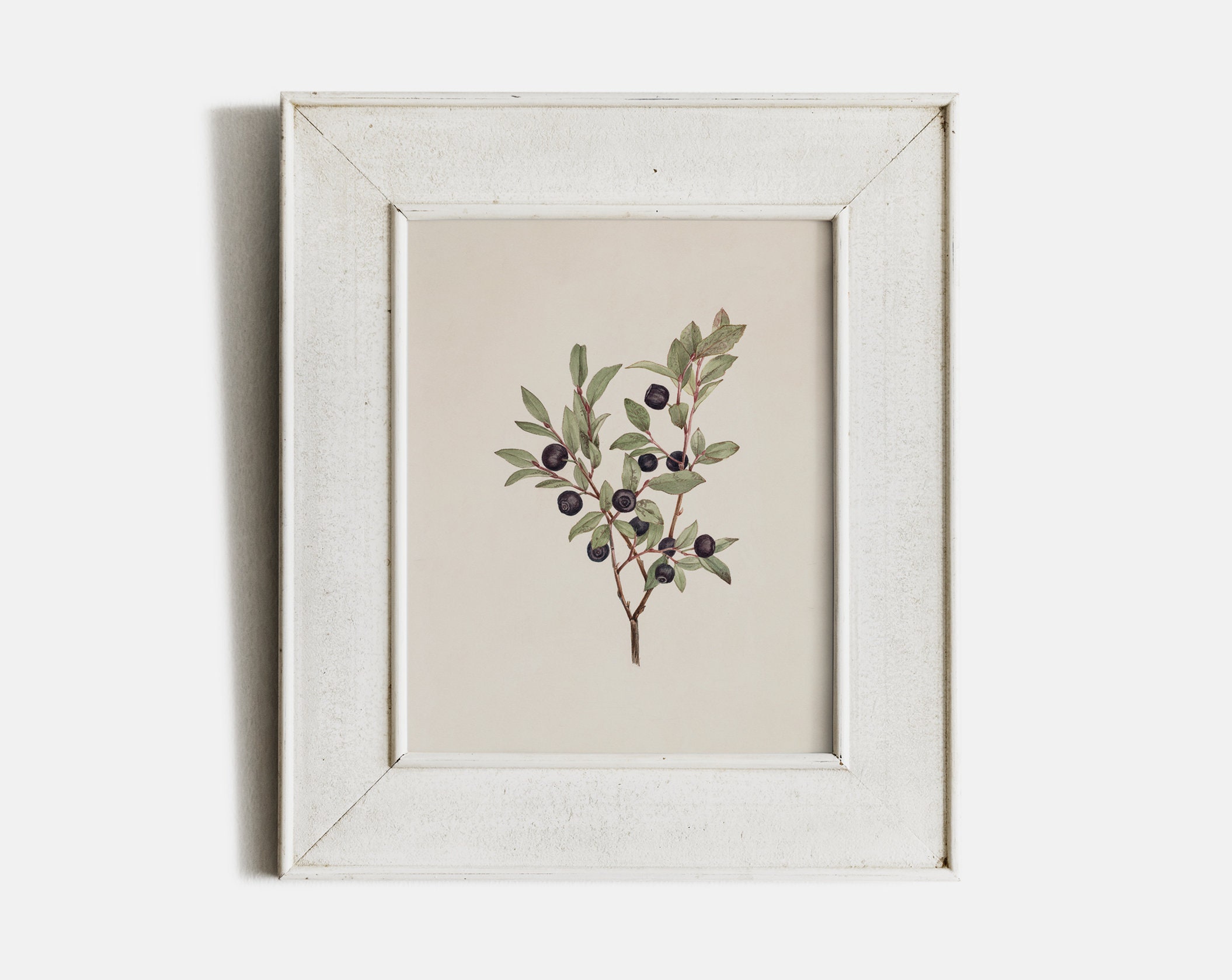 Vintage Botanical Print Antique Berry Country Farmhouse | Etsy