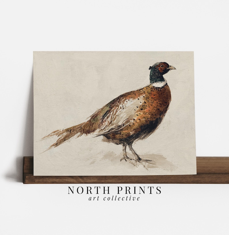 Vintage Pheasant Wall Art, Rustic Wildlife Bird Painting, Autumn ...