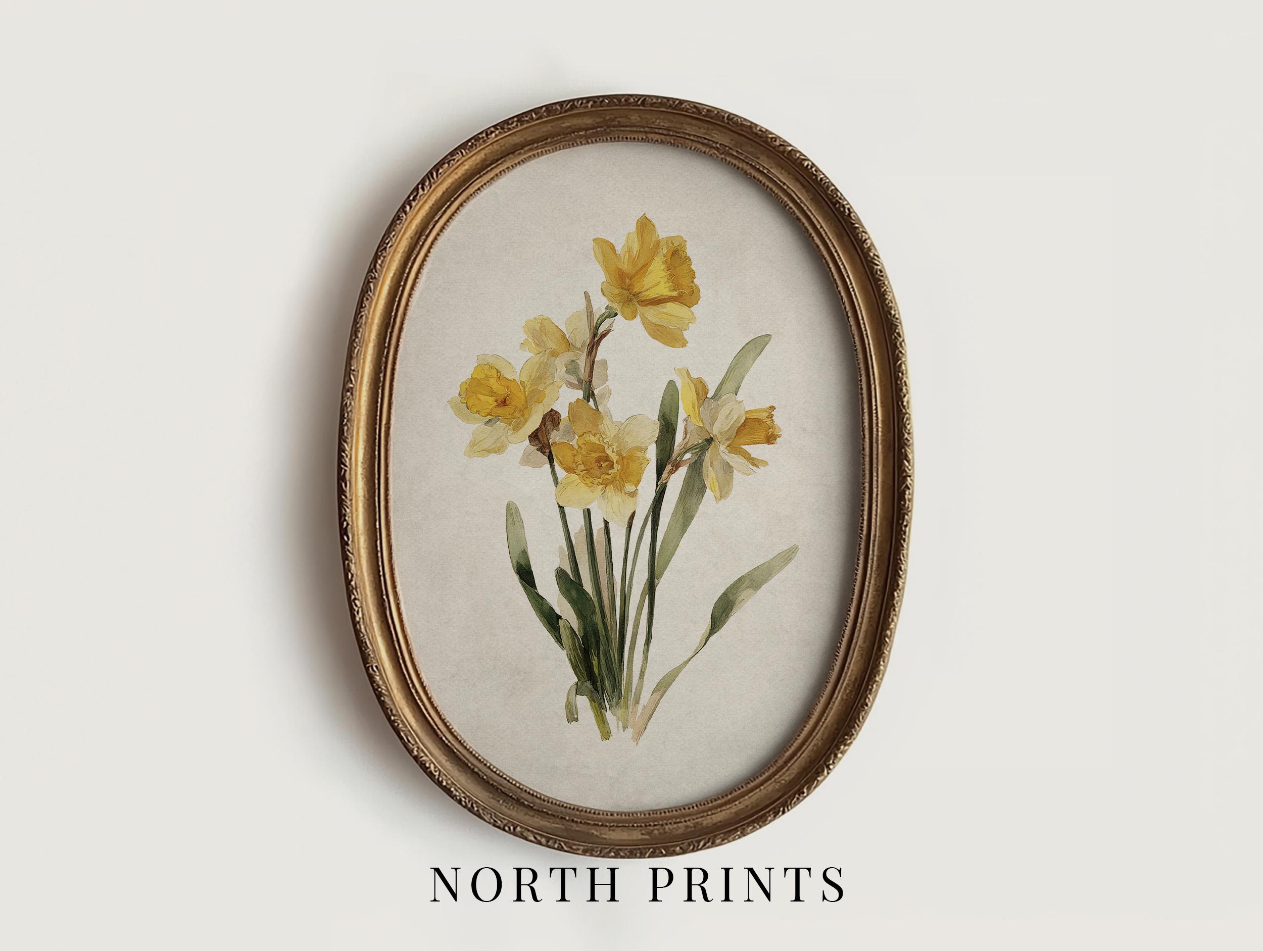 March Birth Flower Art, Daffodil Floral Nursery Wall Decor, Spring ...