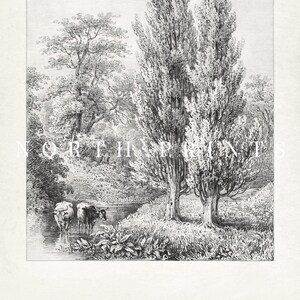 Rustic Country Landscape Drawing | Vintage Sketch Wall Art | North ...