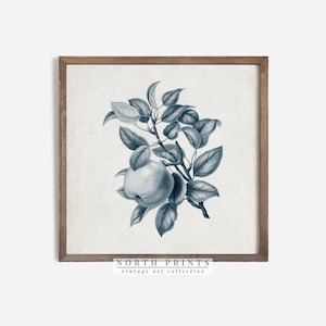 SQUARE Botanical Gallery Wall Print SET of Six | Dark Blue Farmhouse ...