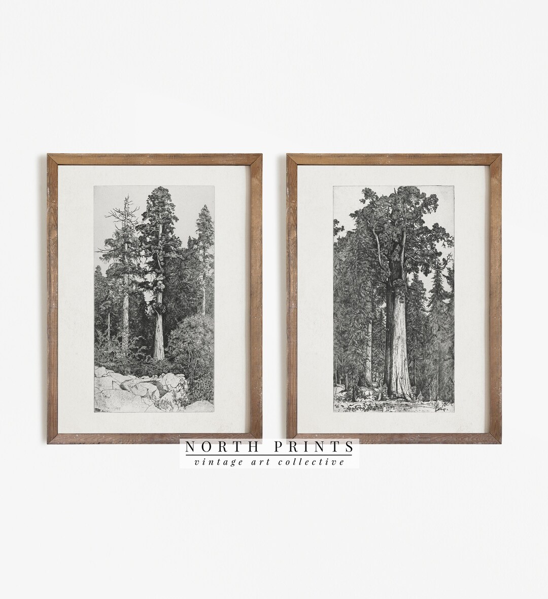 Neutral Rustic Tree Sketch Print SET of Two Antique Drawings Digital ...