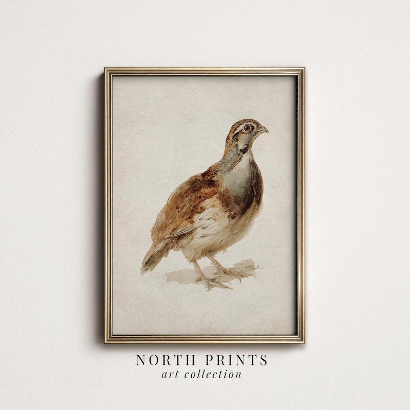 Quail Prints Paintings - Etsy