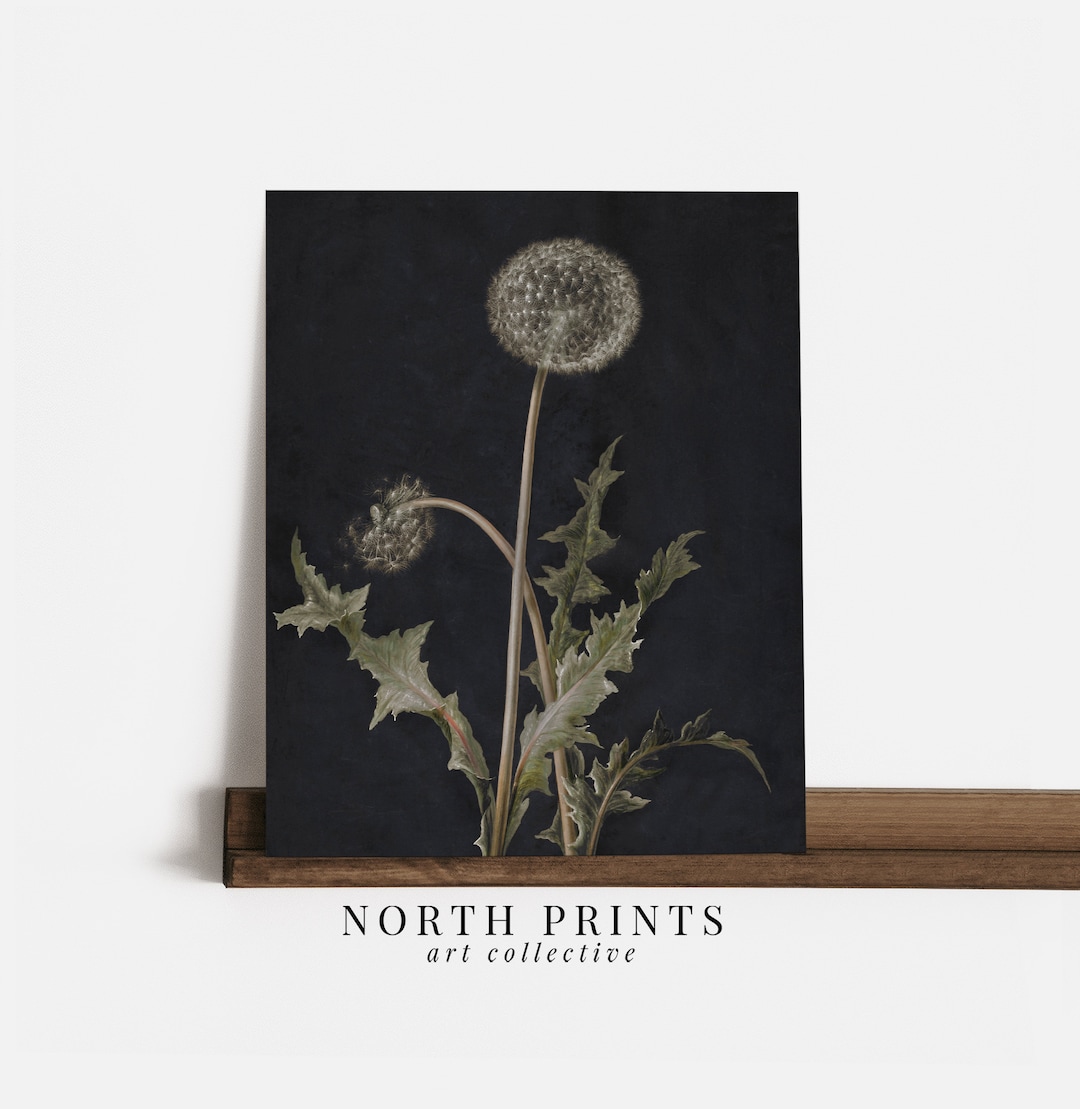 Navy Blue Dandelion PRINTABLE Wall Art | Dark Vintage Botanical Art ...