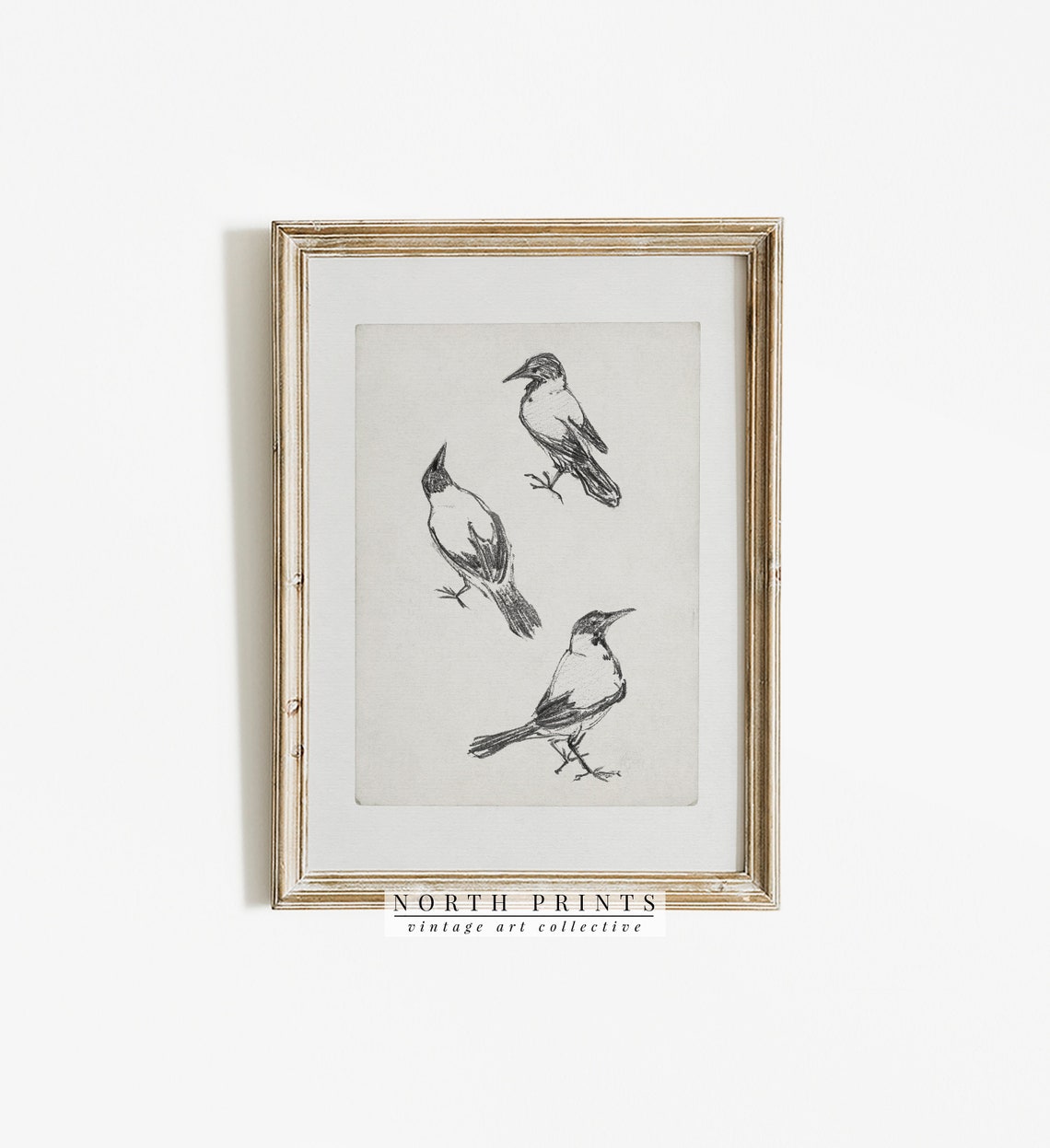 Bird Sketch Vintage Bird Etching Minimalist Drawing Art - Etsy