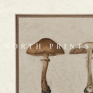 Vintage Mushroom Wall Art Print SET | Country Kitchen Farmhouse Decor ...