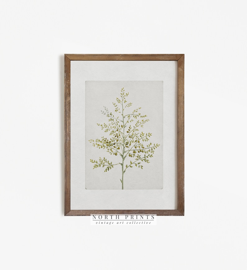 Vintage Botanical Print French Country Decor Art PRINTABLE - Etsy