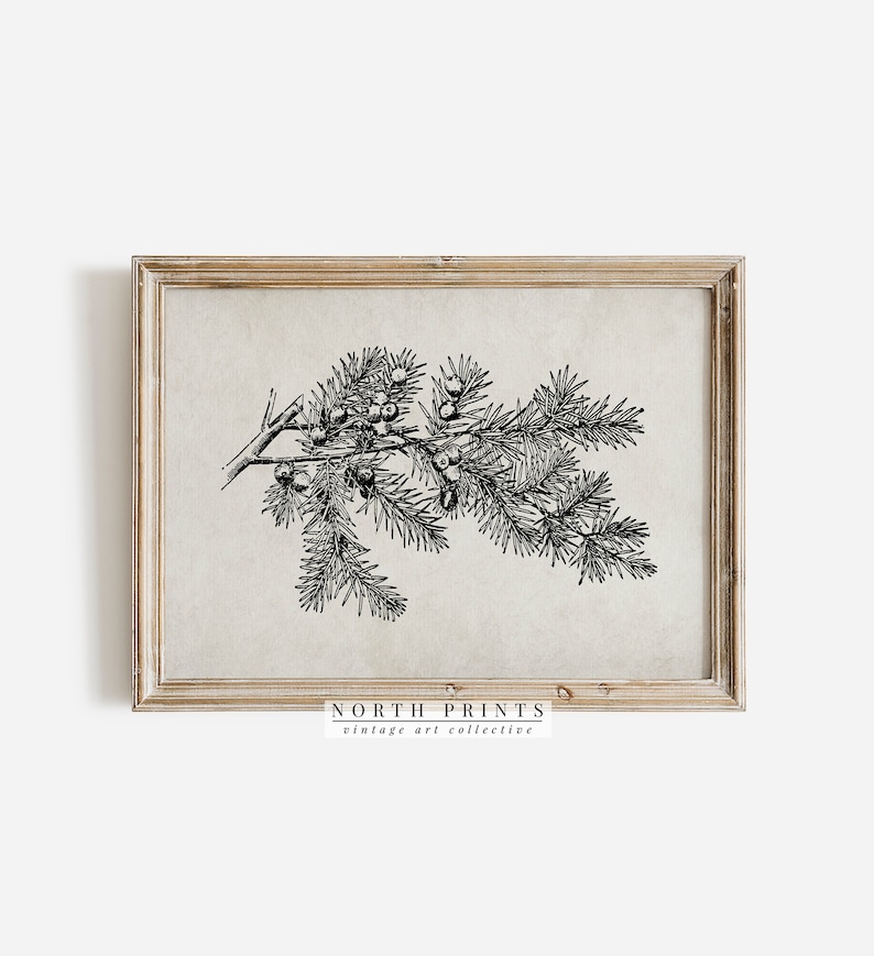 Minimalist Winter Branch Sketch PRINTABLE Art | Neutral Christmas ...