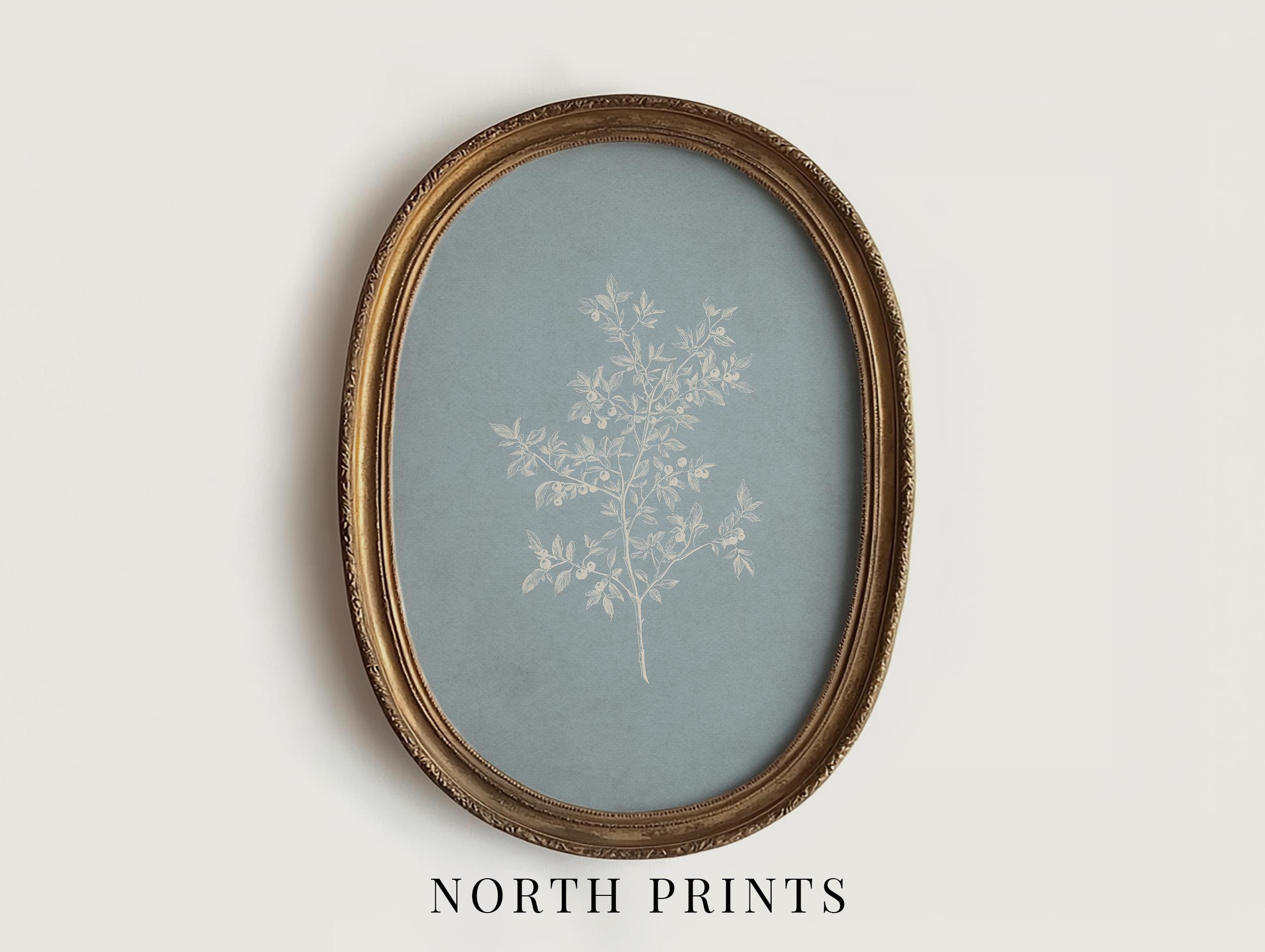 Antique Blue Botanical Branch Print: Minimalist Farmhouse Wall Art ...