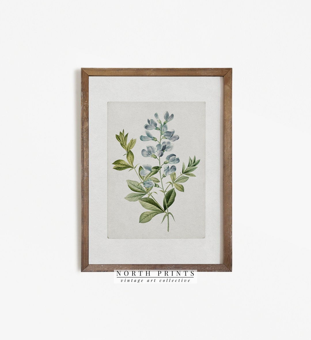 Farmhouse Botanical Print | Vintage Blue Flower Watercolor PRINTABLE ...