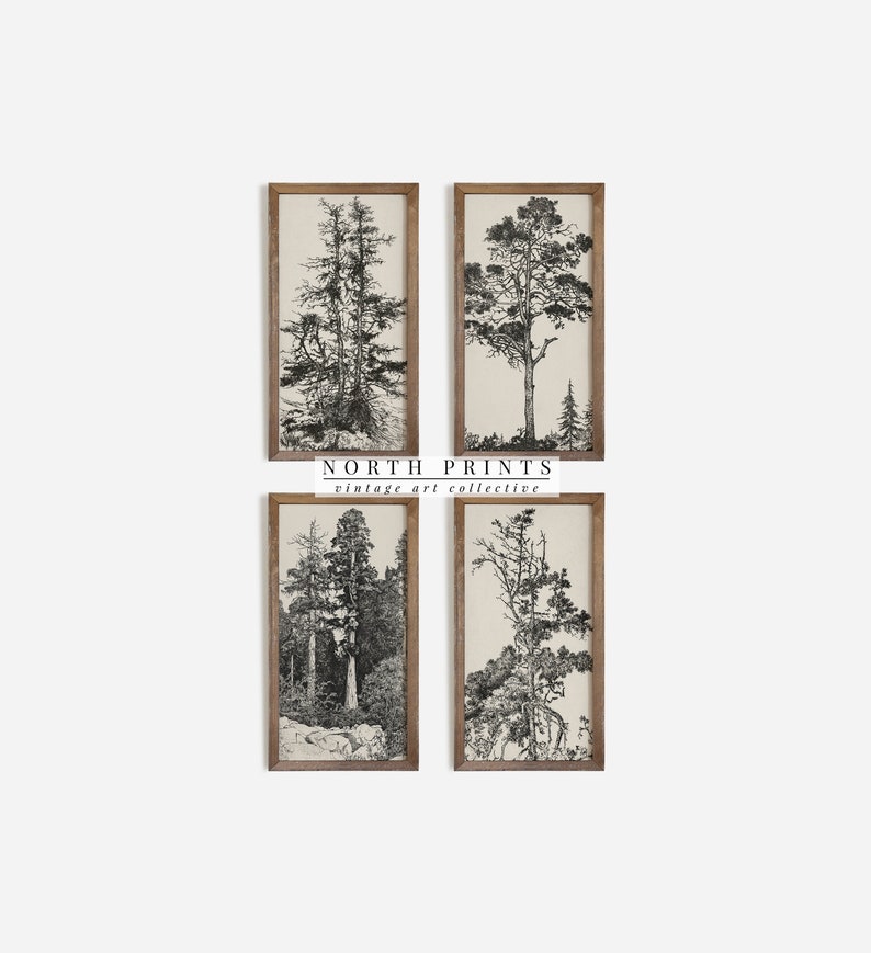 North Prints Vintage Rustic Tree Gallery Wall Sketches - Etsy