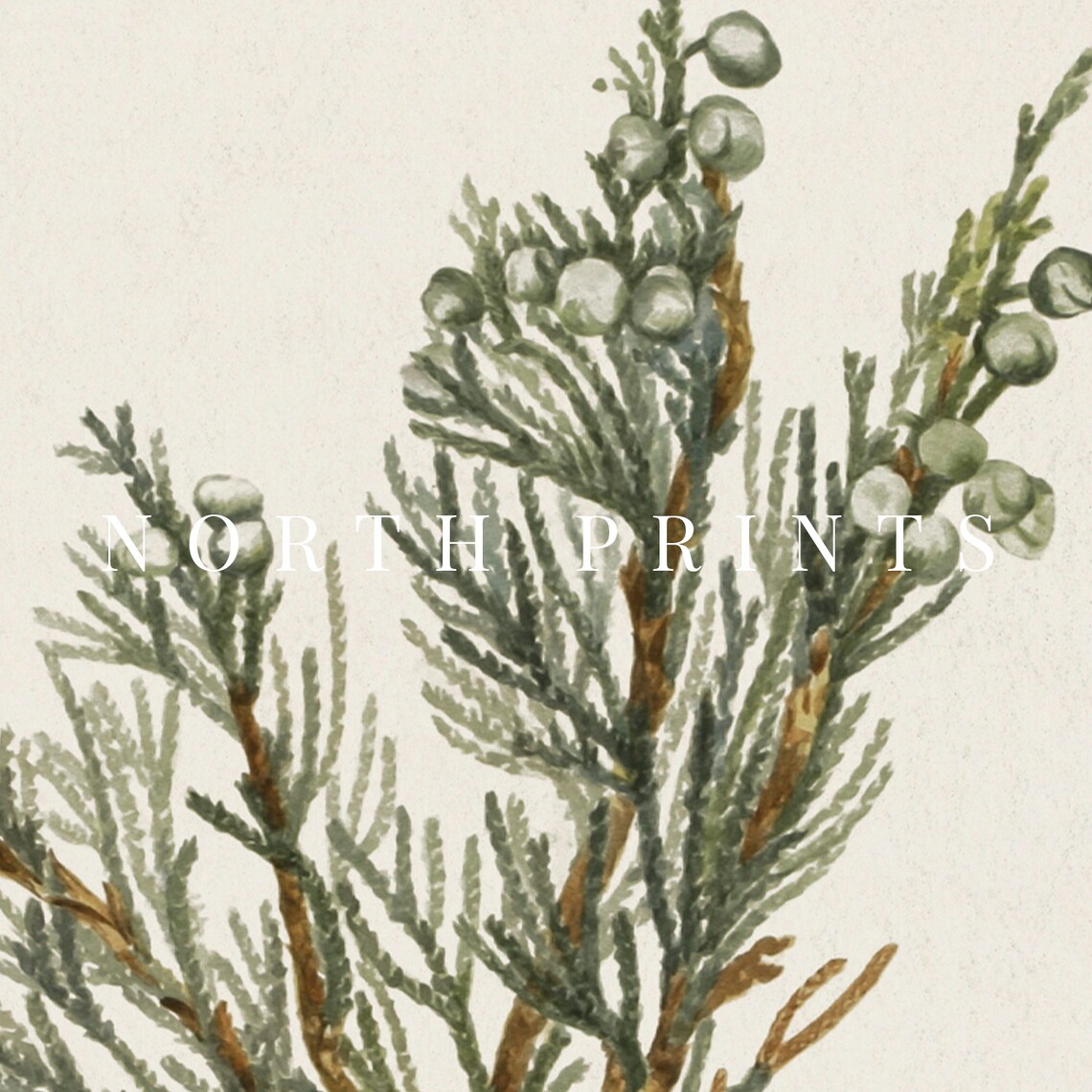 Winter Branch Art Print Country Christmas Holiday PRINTABLE - Etsy