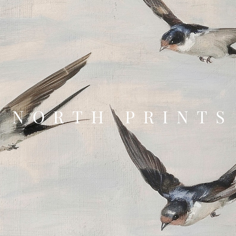 Barn Swallows Bird Painting: Country Nursery Printable Wall Art ...